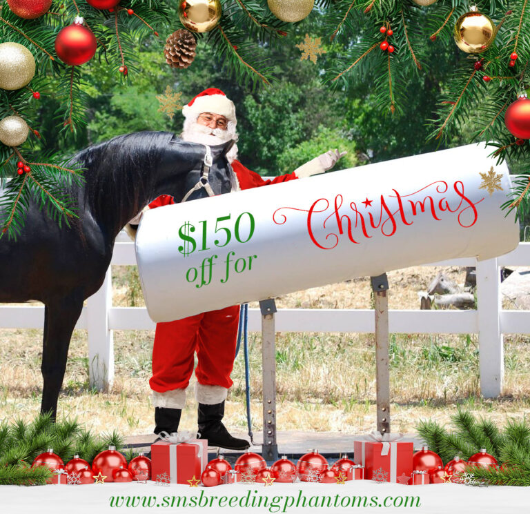 SMS Breeding Phantoms-$2,950 aka Dummy Mare Stallion Mount