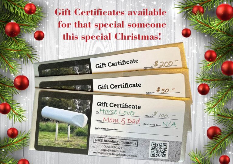 SMS Breeding Phantoms-$2,950 aka Dummy Mare Stallion Mount